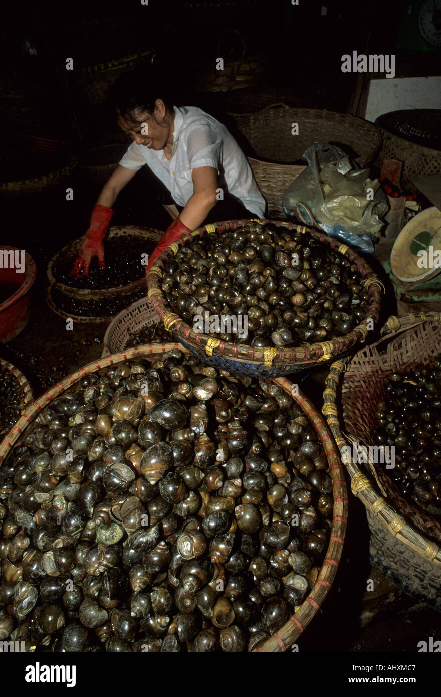 Wet market in hanoi hi-res stock photography and images - Alamy