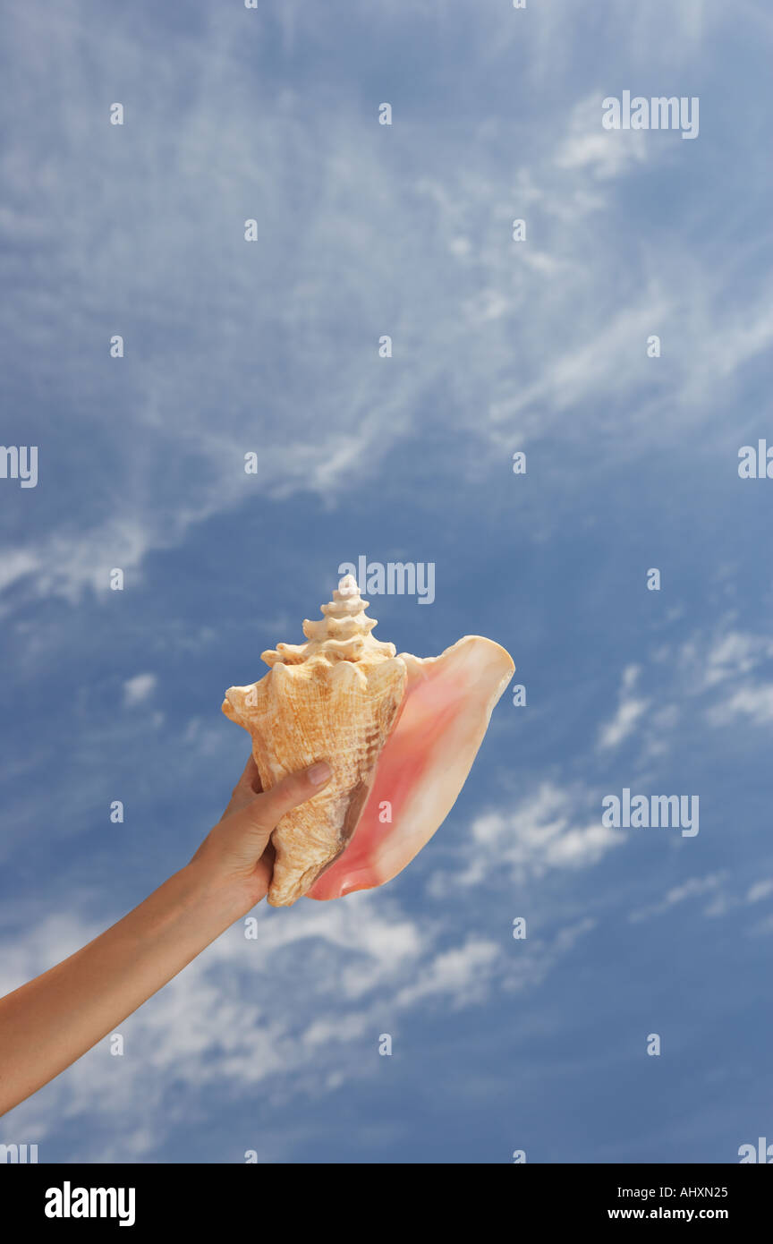 Conch shell hands hi-res stock photography and images - Alamy