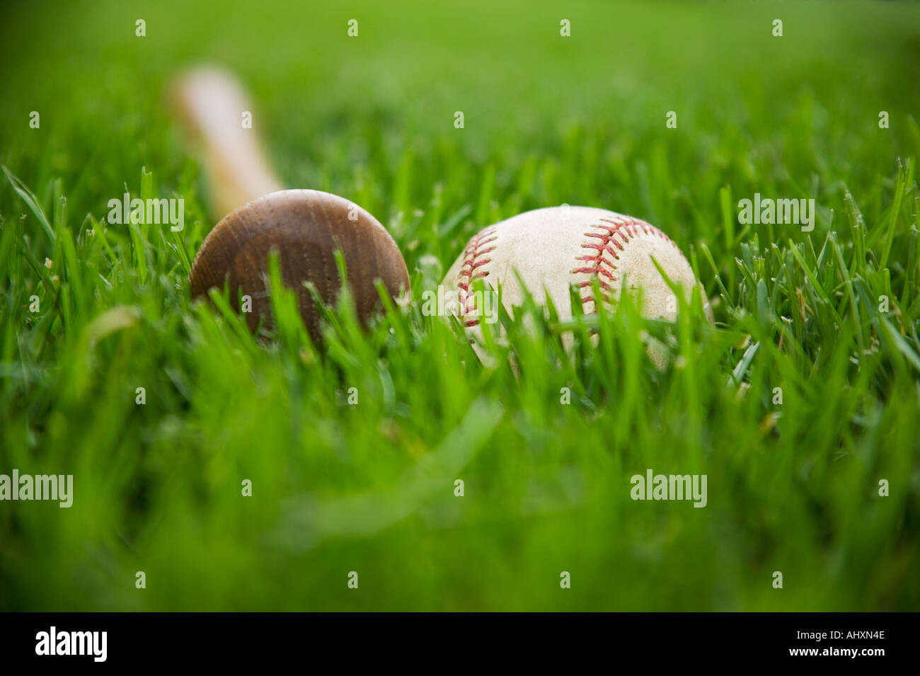 Baseball laying on grass hi-res stock photography and images - Alamy