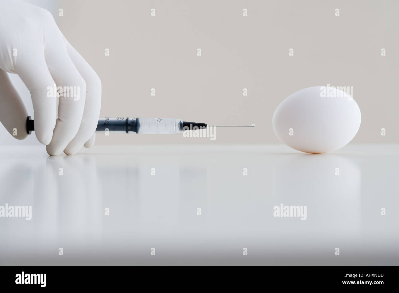 Gloved hand giving injection to egg Stock Photo - Alamy