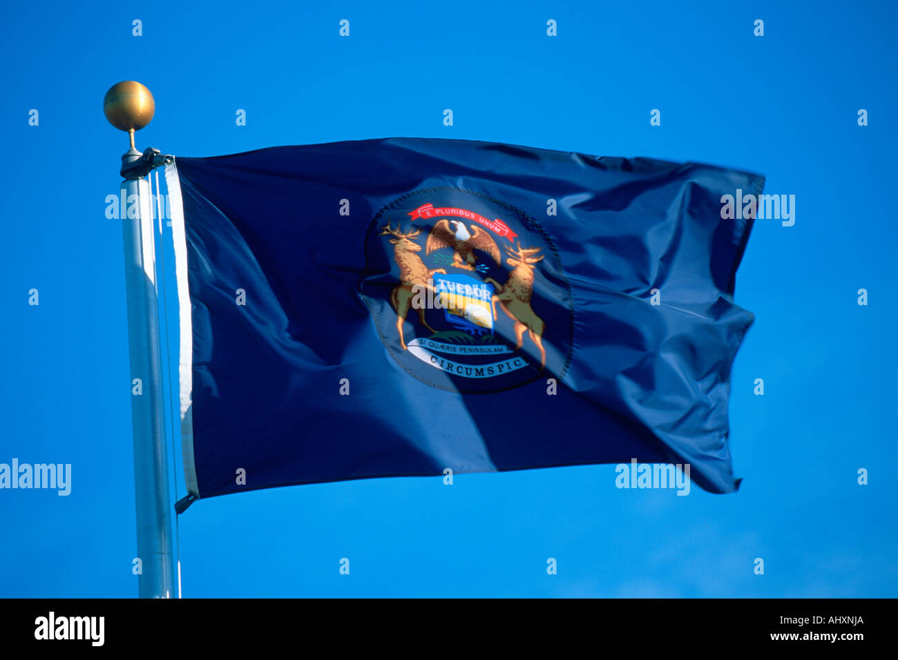 Michigan state flag hi-res stock photography and images - Alamy