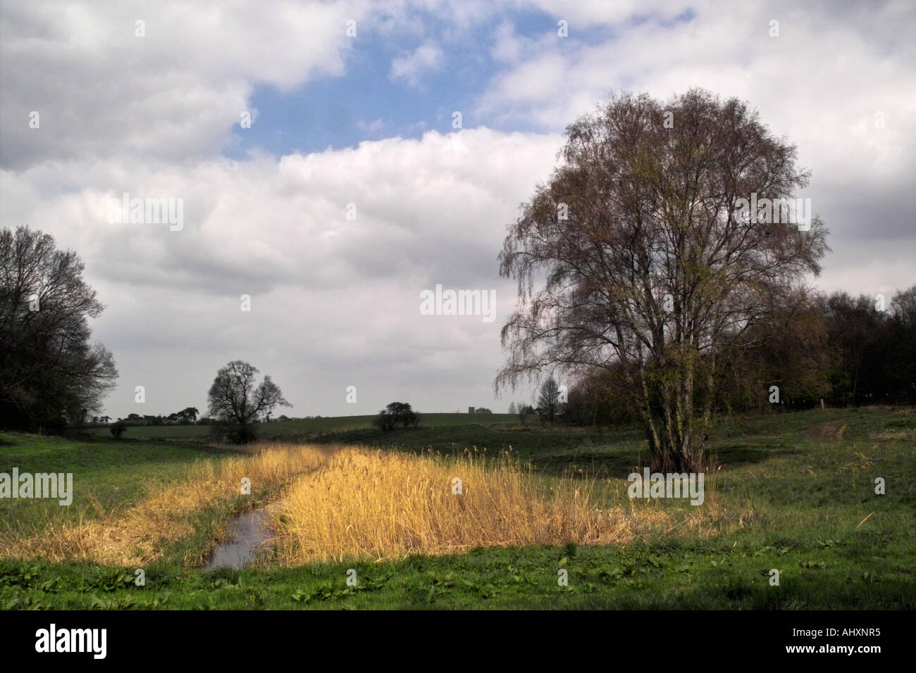 Suffolk east hi-res stock photography and images - Alamy