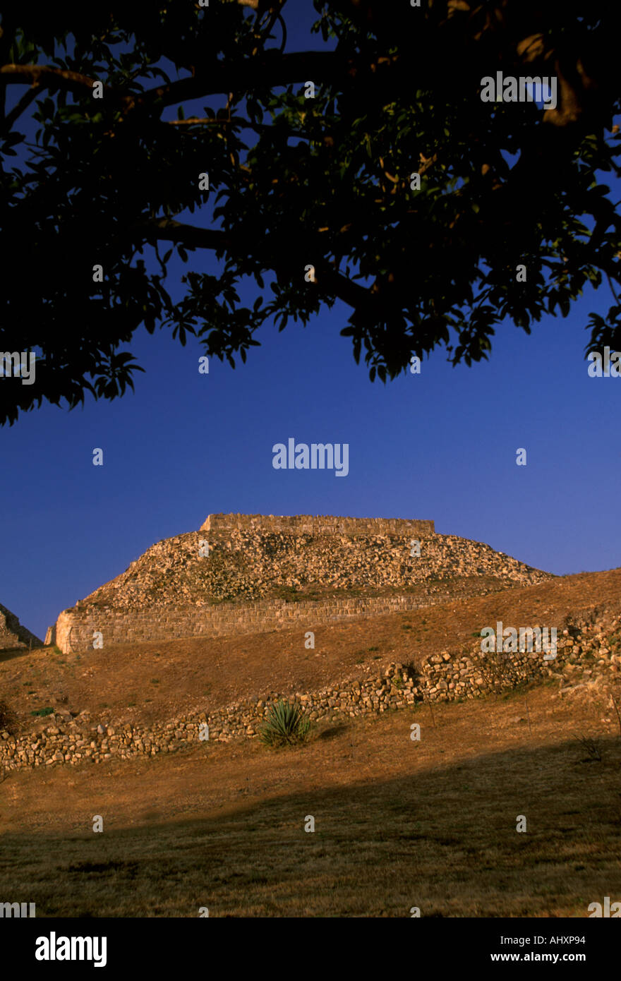 platform, temple, Monte Alban Archaeological Zone, Monte Alban ...