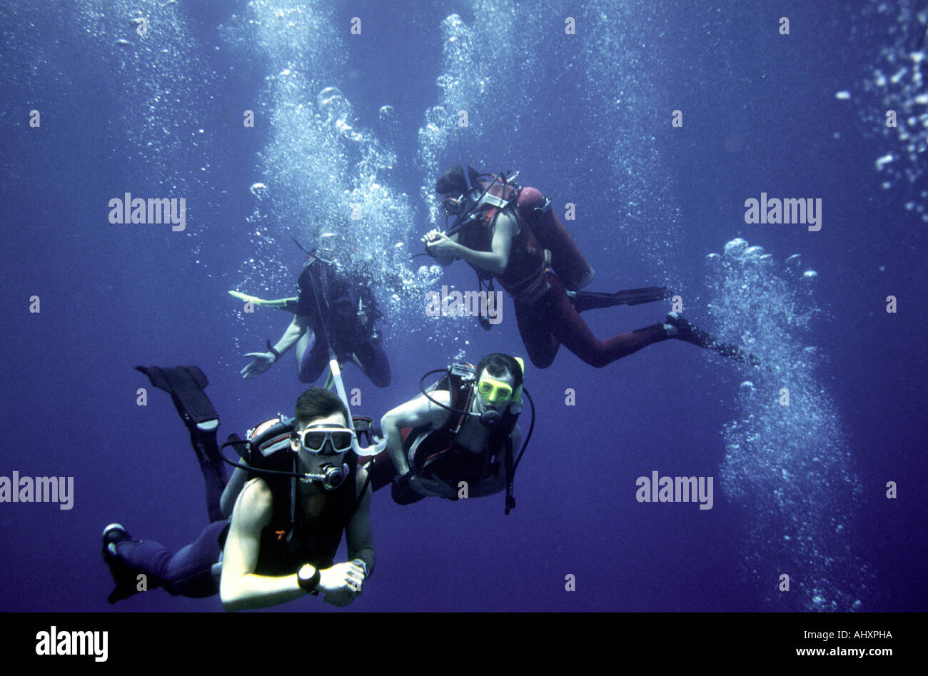 Egypt Red Sea four Scuba Divers underwater Stock Photo - Alamy
