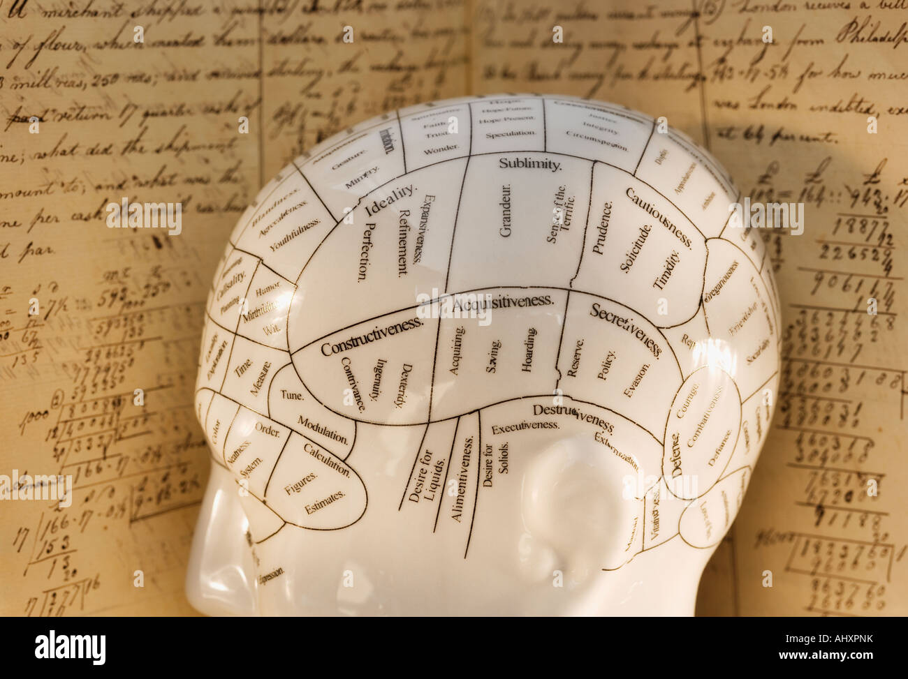 Close up of Phrenology head diagram Stock Photo - Alamy