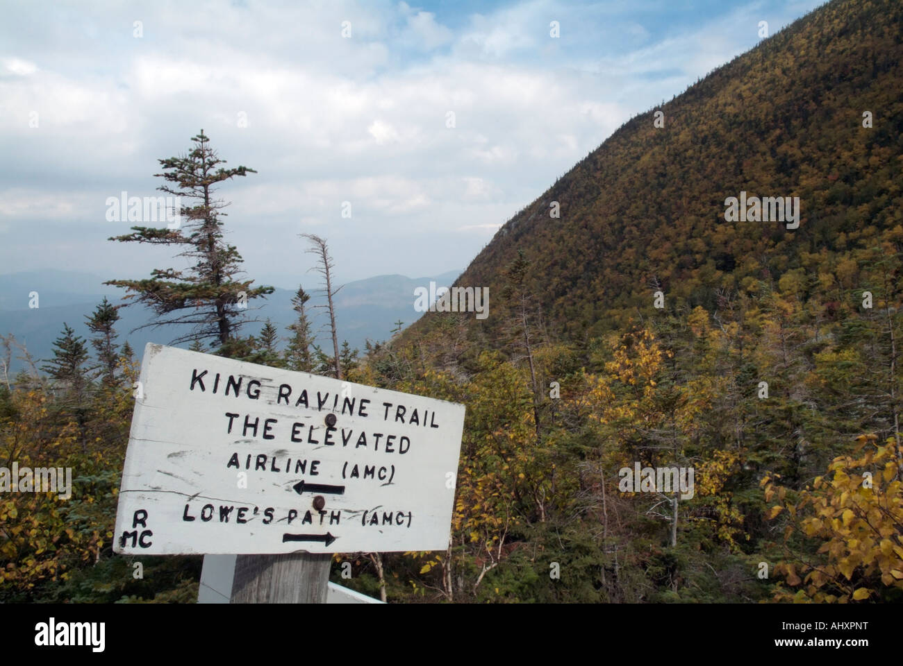 Sub alpine cold air talus barren hi-res stock photography and images ...
