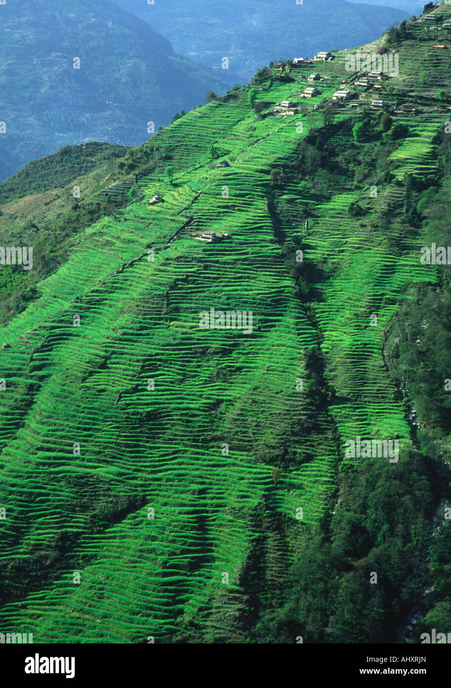 Terracing system hi-res stock photography and images - Alamy