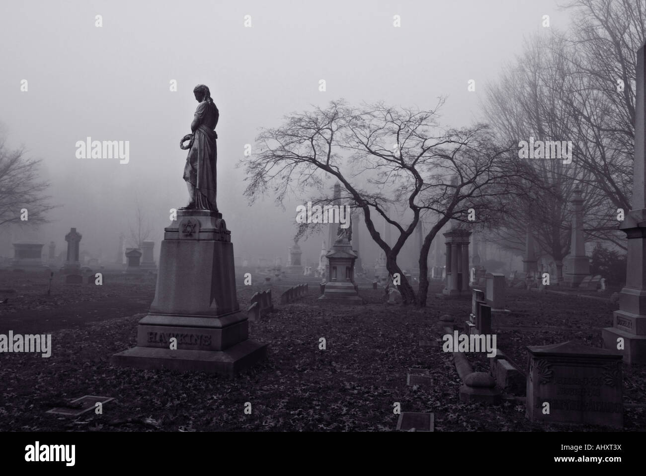 Foggy Cemetery Scene Stock Photo - Alamy