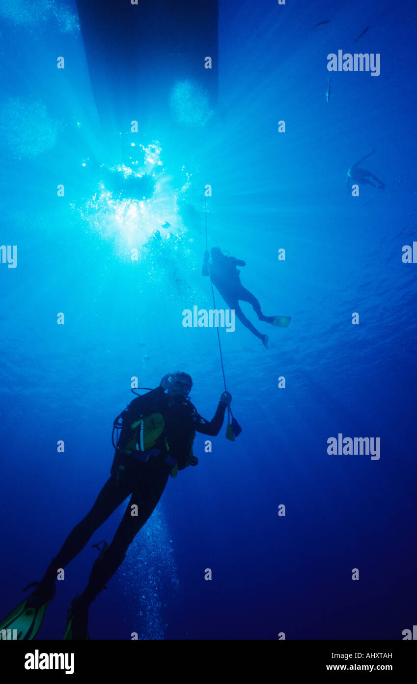 Scuba divers returning to the dive boat. Egyptian Red Sea, Egypt Stock ...
