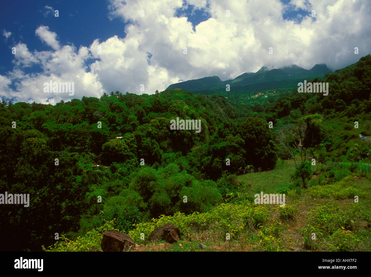 La Grande Soufriere, La Soufriere, Soufriere Volcano, active volcano ...