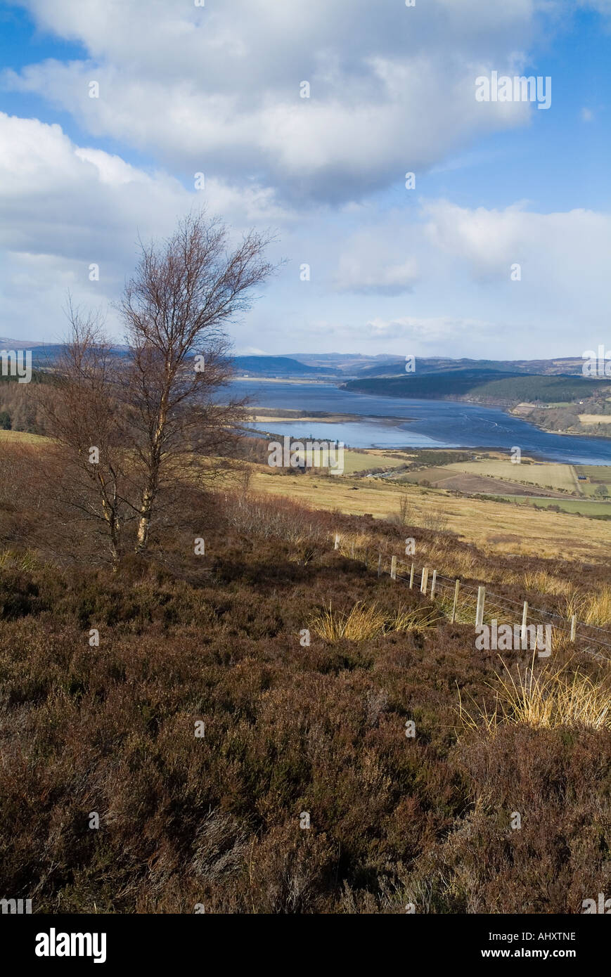 dh STRUIE ROSS CROMARTY Viewpoint overlooking Dornoch Firth Stock Photo ...