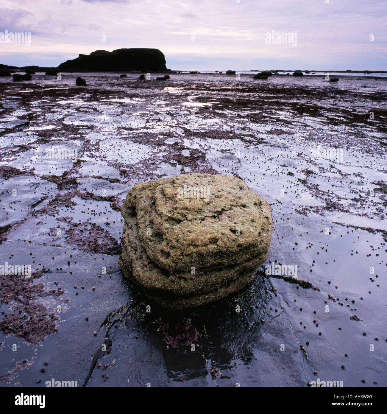 Nab hi-res stock photography and images - Alamy