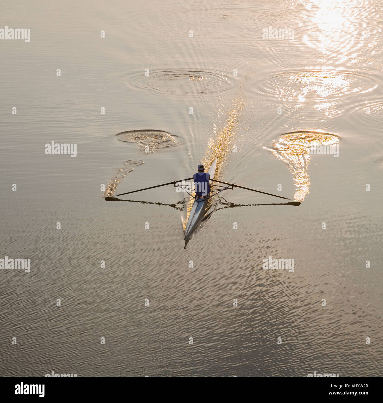 High angle view of person sculling Stock Photo - Alamy