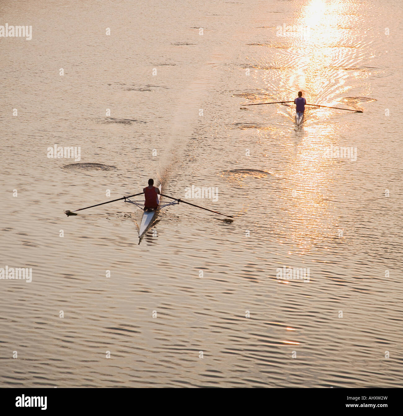 Two person rowing crew hi-res stock photography and images - Alamy
