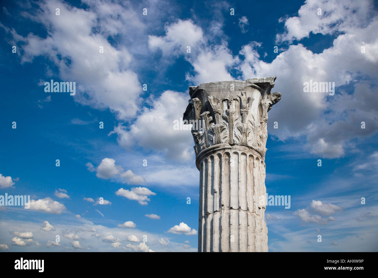 Phocus hi-res stock photography and images - Alamy