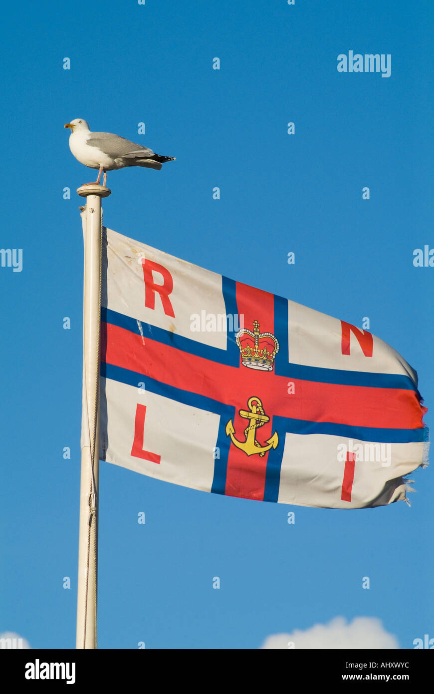Rnli logo hi-res stock photography and images - Alamy