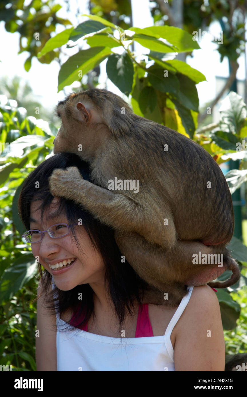 Sentosa Animal Encounters, Singapore Stock Photo - Alamy