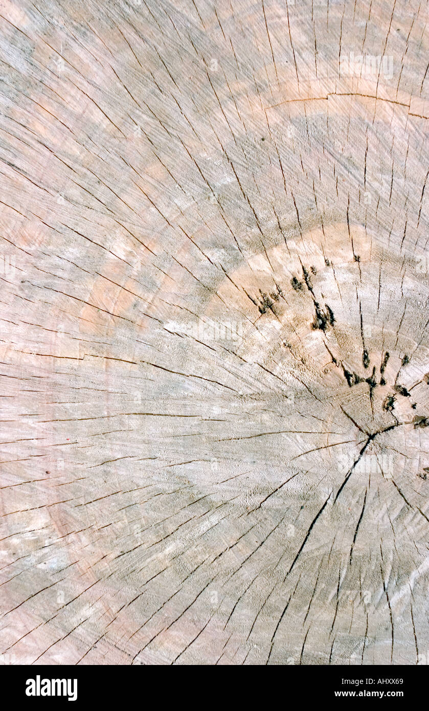 Concentric prints progress vertical hi-res stock photography and images ...