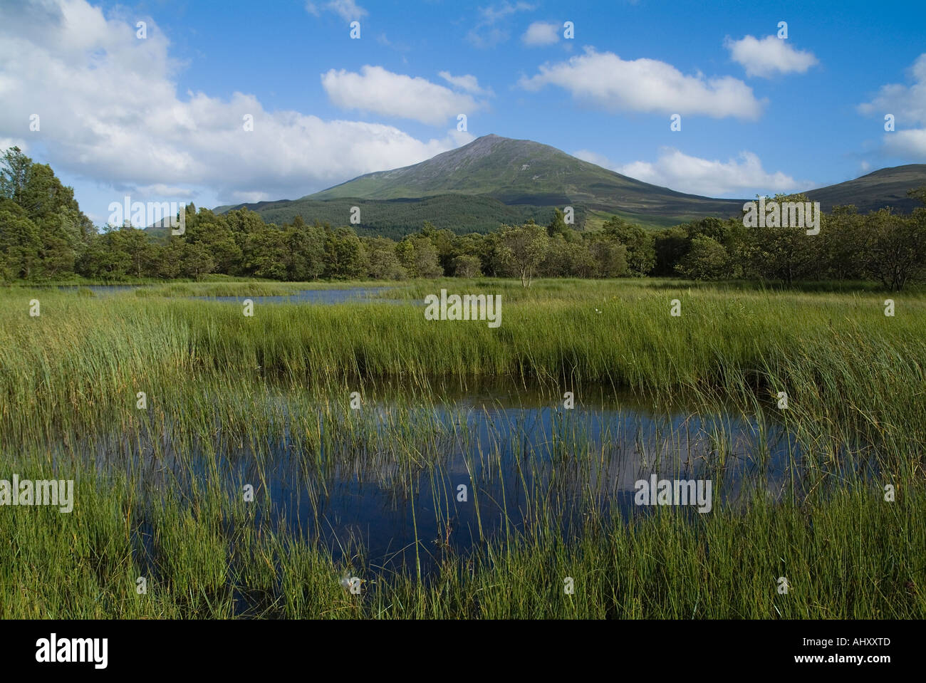 dh Mountain Schiehallion DUNALASTAIR WATER PERTHSHIRE Scottish ...