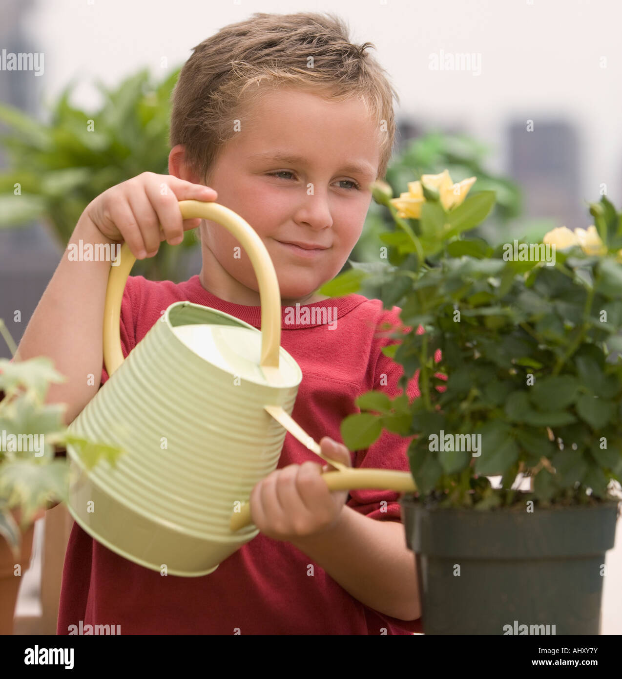 Boy watering potted plants Stock Photo - Alamy