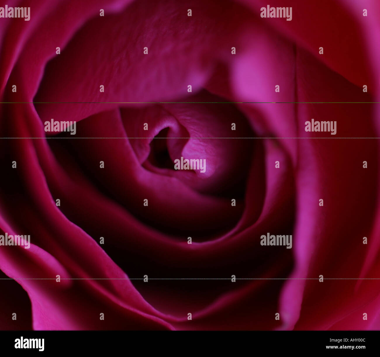 Purple claret hi-res stock photography and images - Alamy