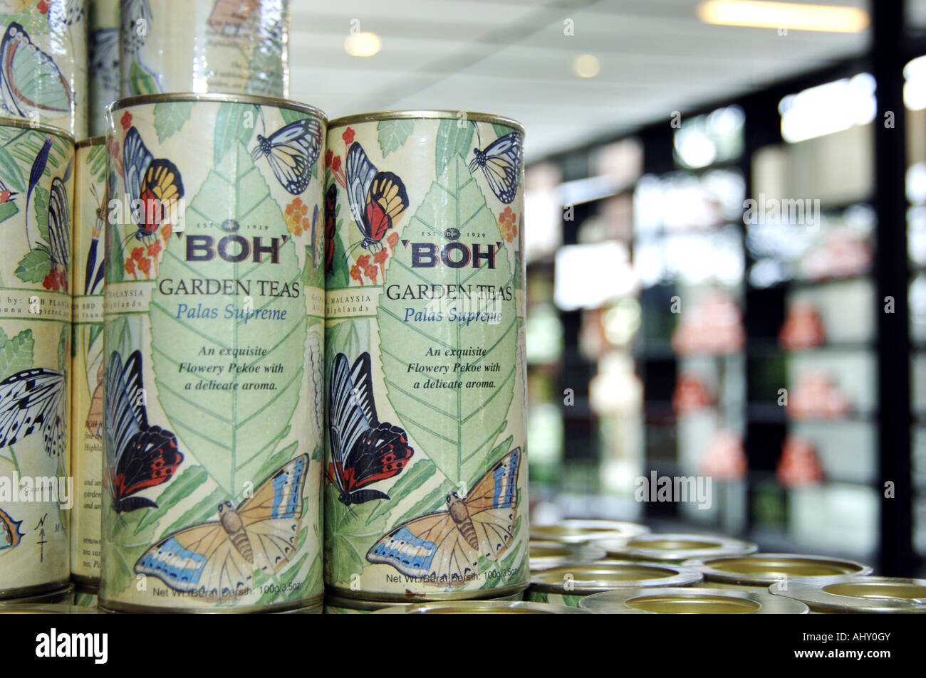 BOH Plantations Malaysia s largest producer of premium black tea Stock ...