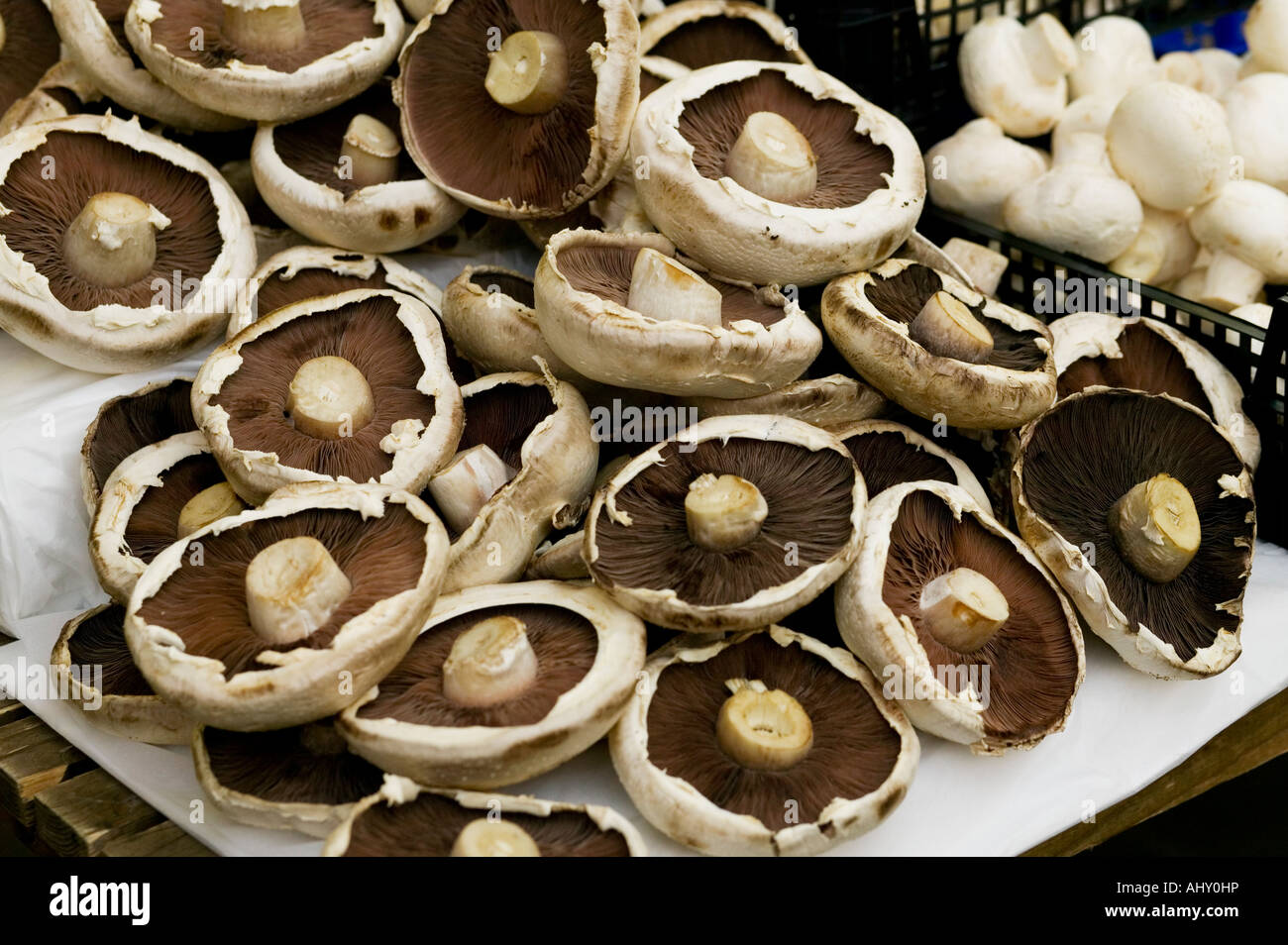 mushrooms at borough market Stock Photo - Alamy