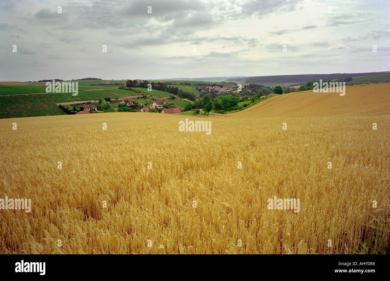Chablis wine region hi-res stock photography and images - Alamy
