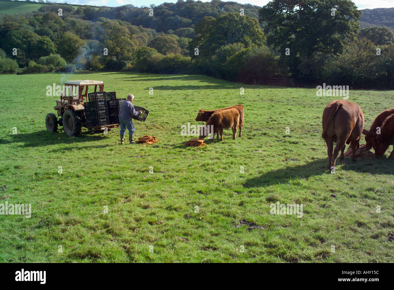 Feeding activity hi-res stock photography and images - Alamy