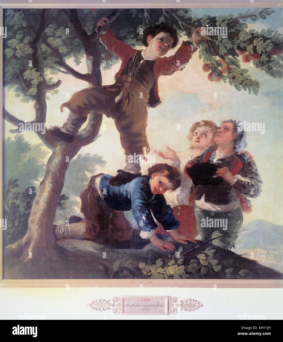 Boy climbing fruit tree High Resolution Stock Photography and Images ...