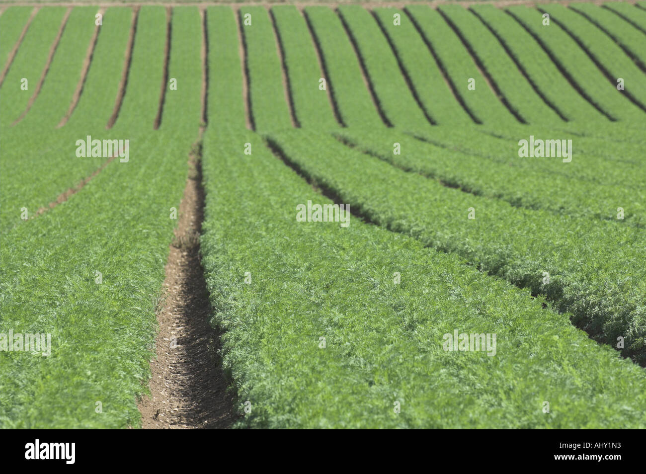 Commercial awareness hi-res stock photography and images - Alamy