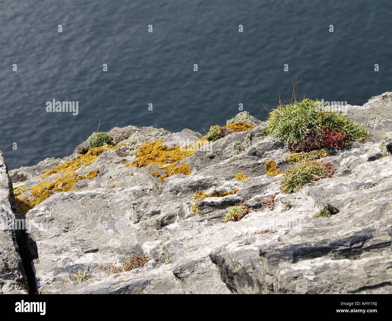 Looking Down From A Cliff
