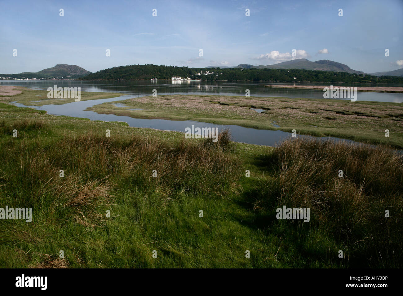 Traeth Bach Halech Wales Stock Photo - Alamy