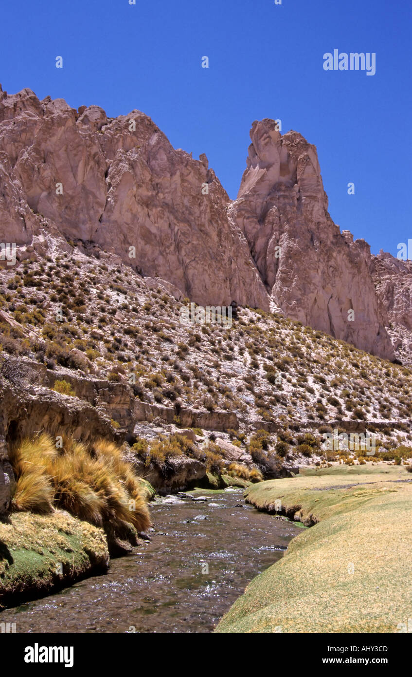Cascada valley in the Altiplano, Bolivia Stock Photo - Alamy