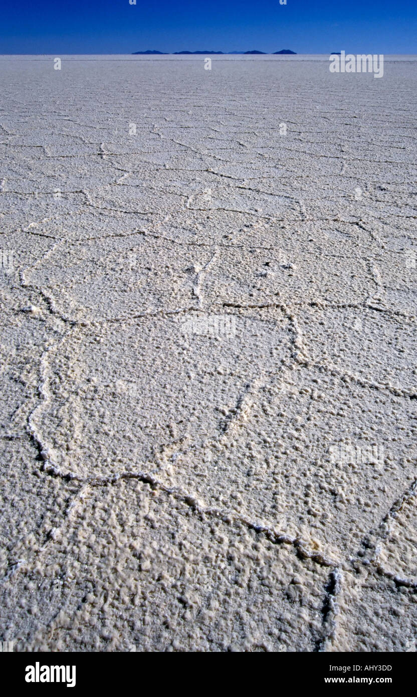 Crystalising salt forms hexagons, Salar de Uyuni, Altiplano, Bolivia ...
