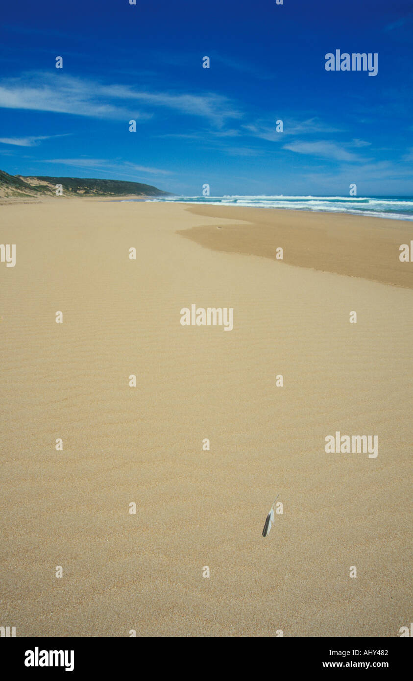 Typical australian beach hi-res stock photography and images - Alamy
