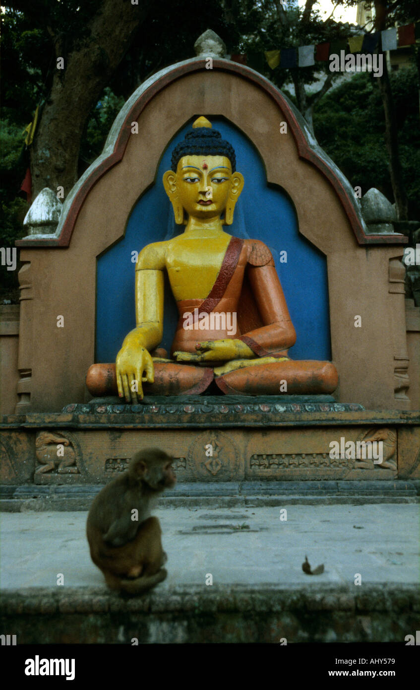 Monkey sitting under Buddha statue Swayambunath Monkey Temple Kathmandu ...