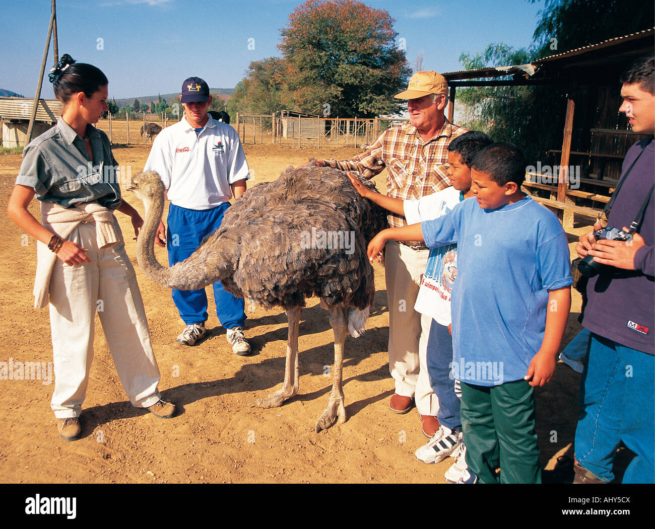 Tourist and visitors meeting a female ostrich at Safari Ostrich Farm ...