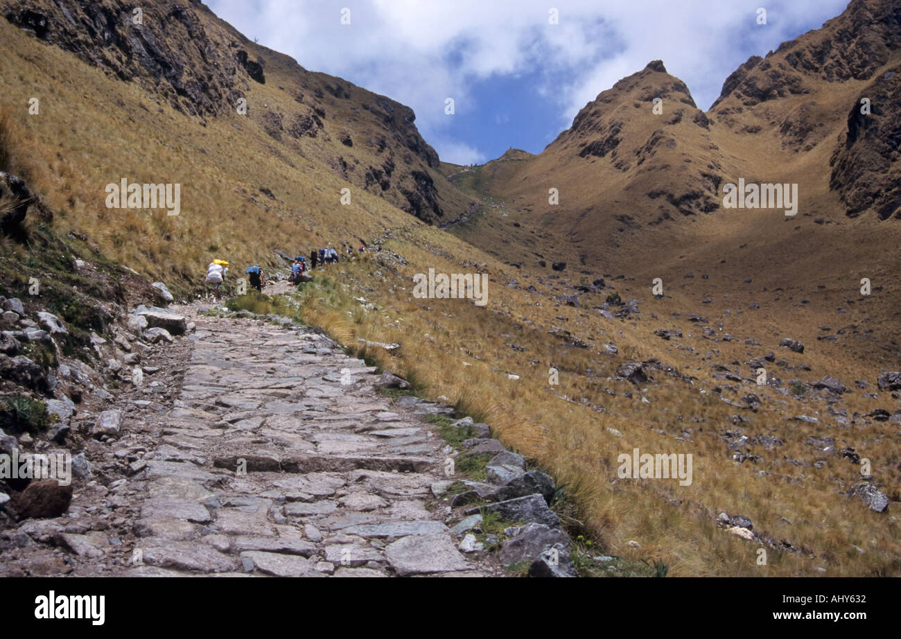 Forever upwards towards Dead Womans Pass, Inca Trail, Peru Stock Photo ...