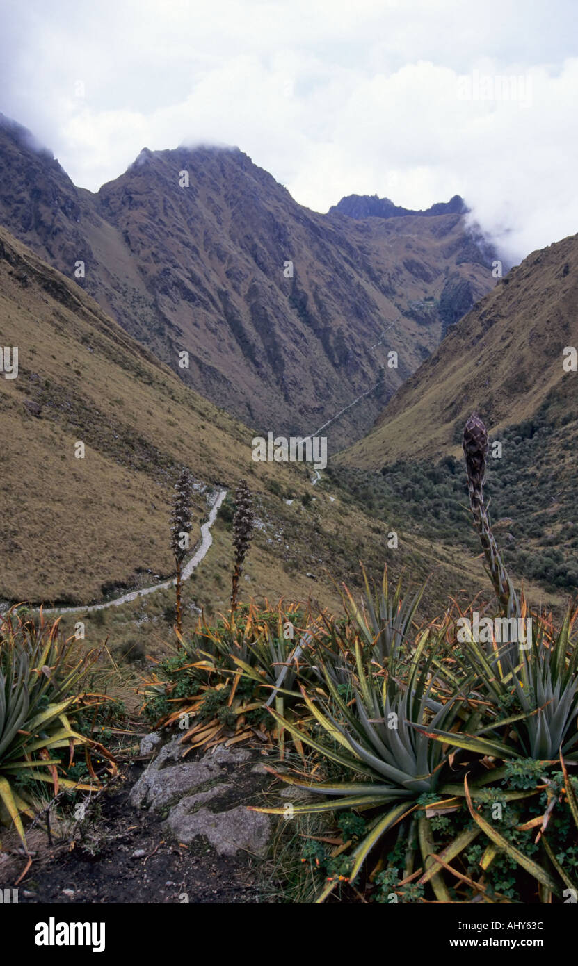 Inca Trail, heading towards Pacaymayo, Peru Stock Photo - Alamy