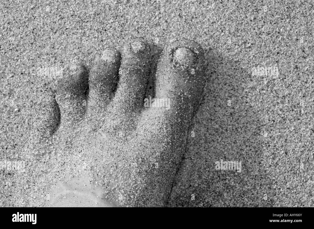 Sandy toes on a beach Stock Photo - Alamy