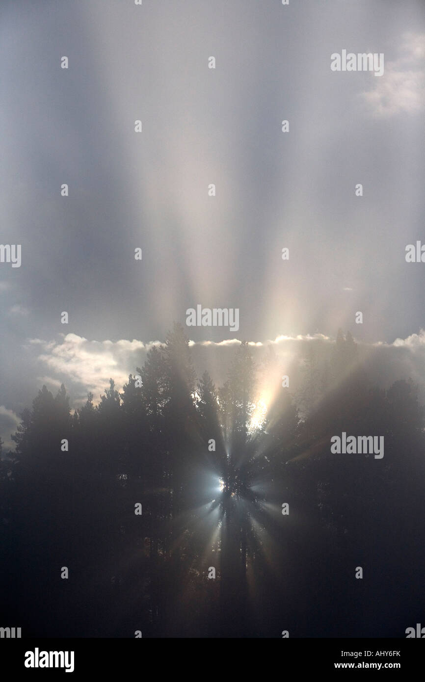 Sun rays through fog hi-res stock photography and images - Alamy