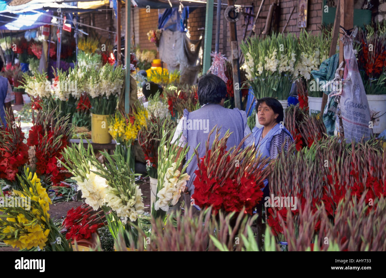 Flower market, Lima, Peru Stock Photo - Alamy
