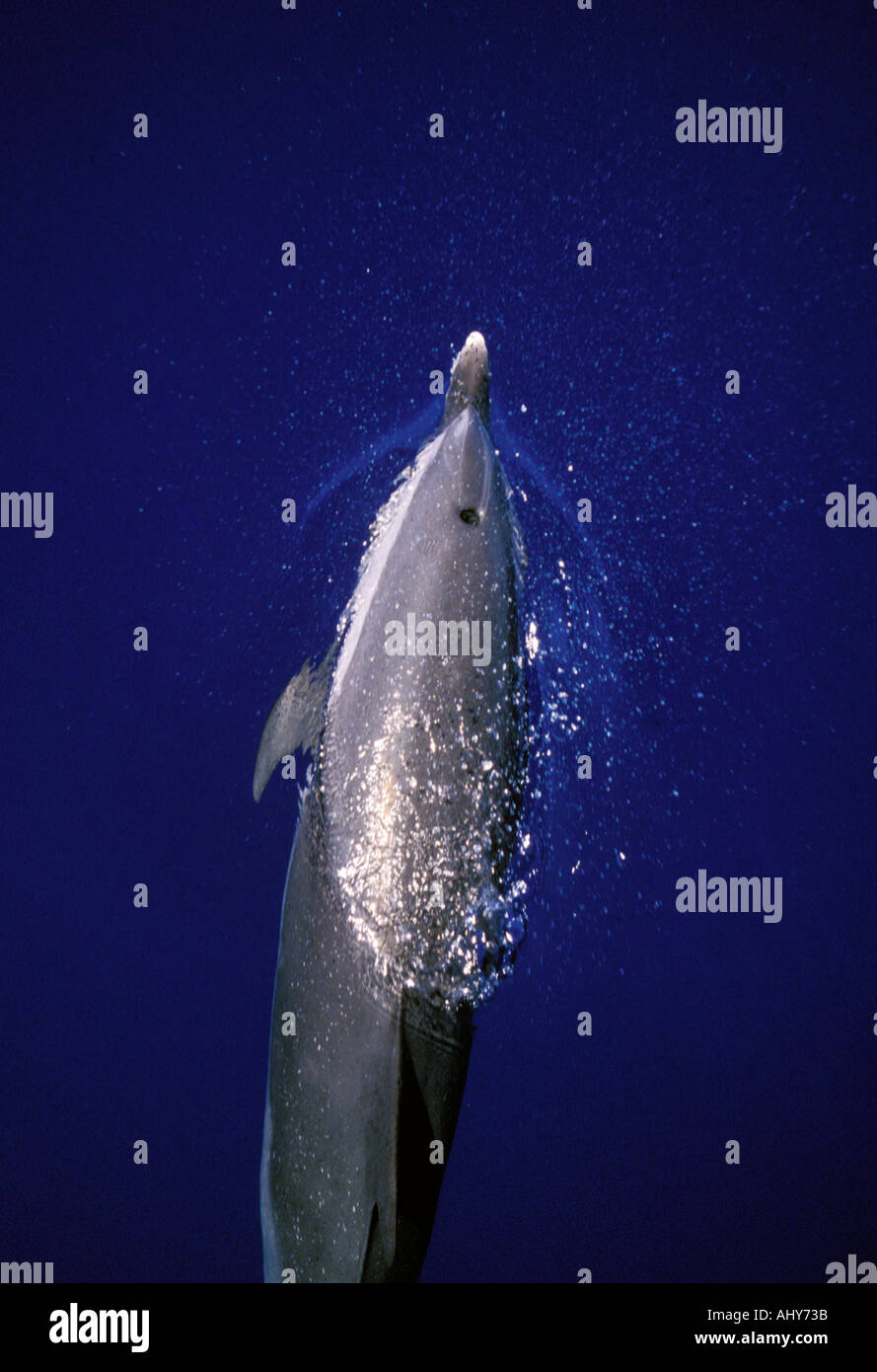 Kona hawaii aerial hi-res stock photography and images - Alamy