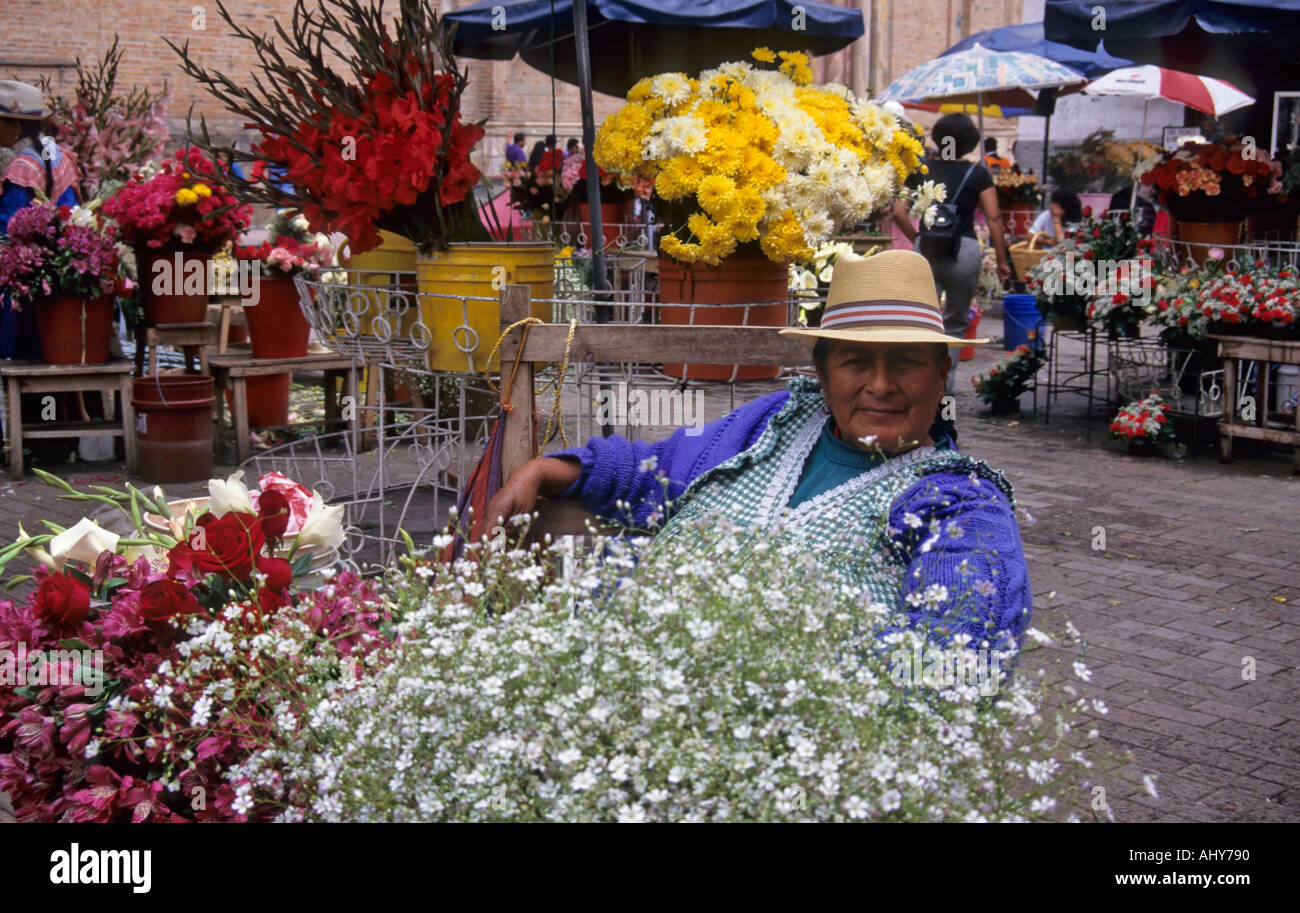 Cuenca ecuador flower hi-res stock photography and images - Alamy
