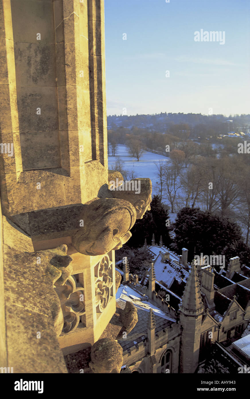 Magdalen College Tower Carving Stock Photo - Alamy