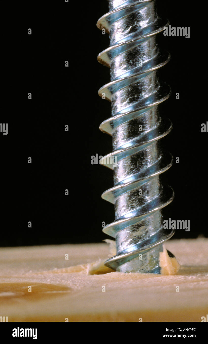 Biting wood hi-res stock photography and images - Alamy