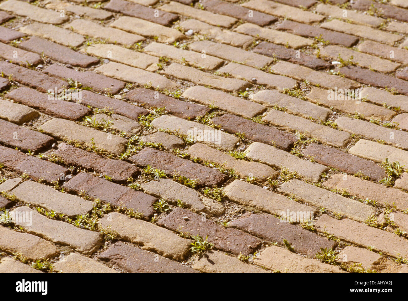 close up detail cobble stone cobblestone brick road pavement Stock ...