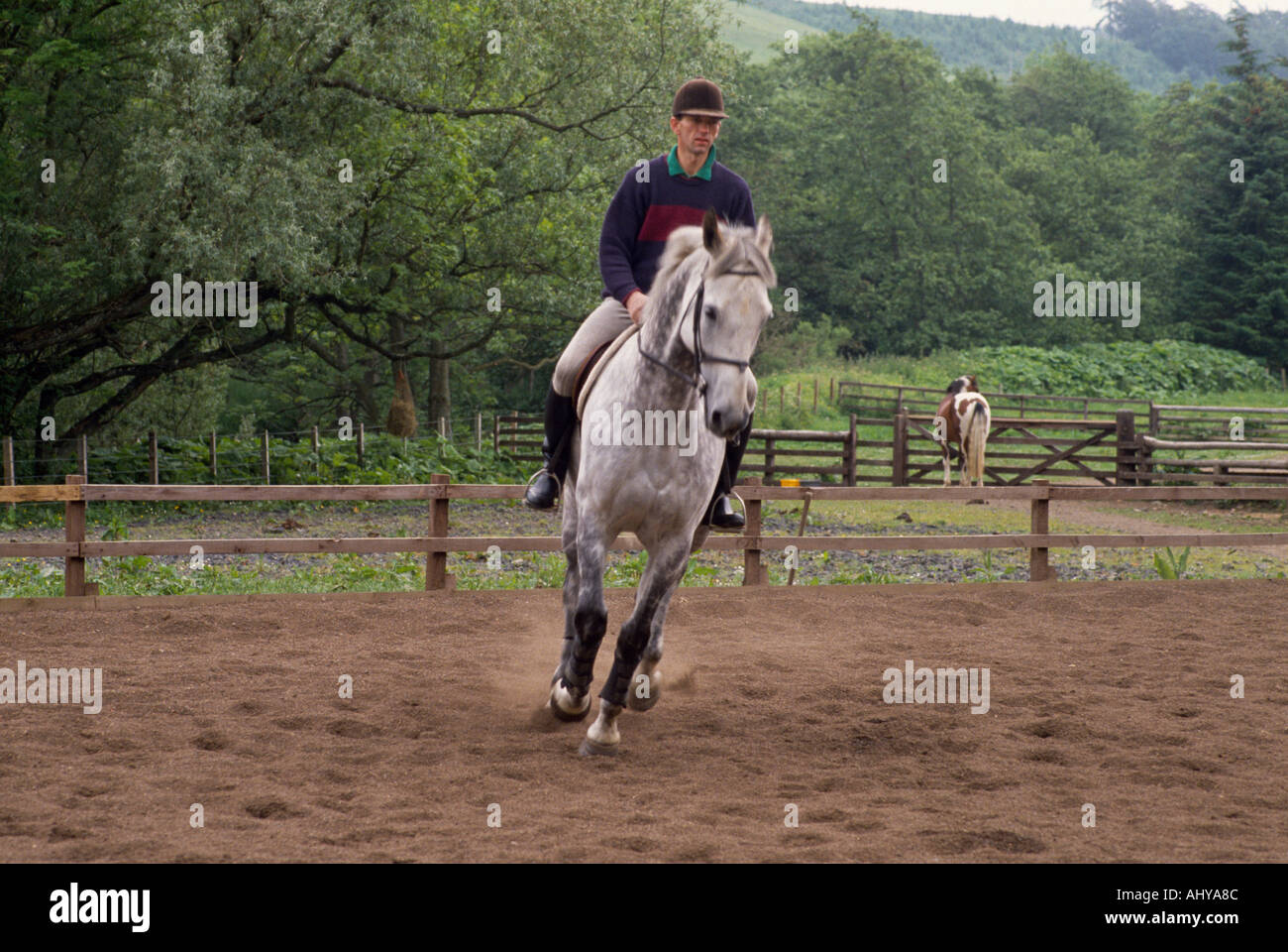 Ian Stark Showjumper practicing in Scotland in Great Britain in the ...
