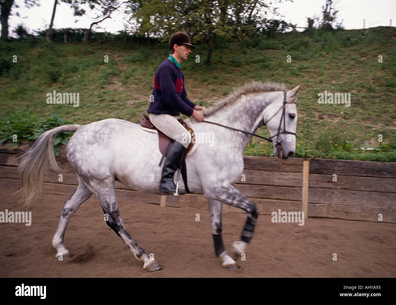 Ian Stark Showjumper practicing in Scotland in Great Britain in the ...
